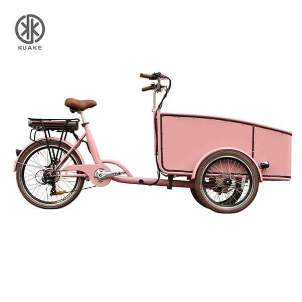 KK6007 Front Loader Electric Cargo Tricycle (250W, 360Wh, 6 Speed ...