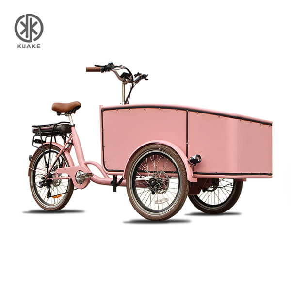 KK6007 Front Loader Electric Cargo Tricycle (250W, 360Wh, 6 Speed ...