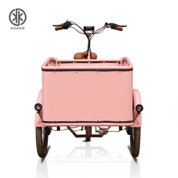 KK6007 Front Loader Electric Cargo Tricycle (250W, 360Wh, 6 Speed ...